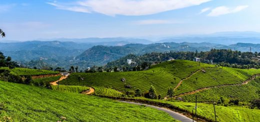 Munnar Kerala - Munnar Kerala